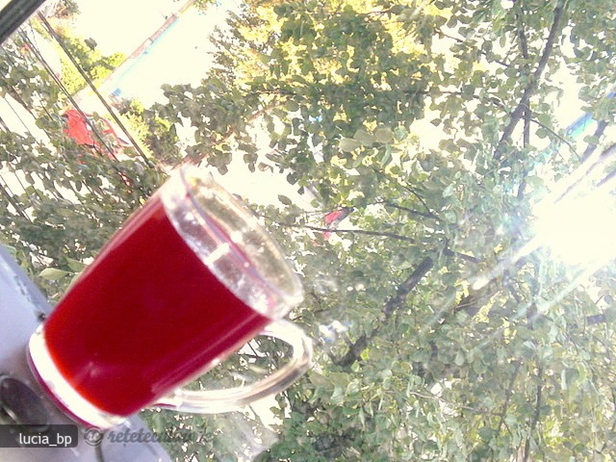 Fructe de Coacaze Rosii pentru Iarna | Conserve, muraturi ...