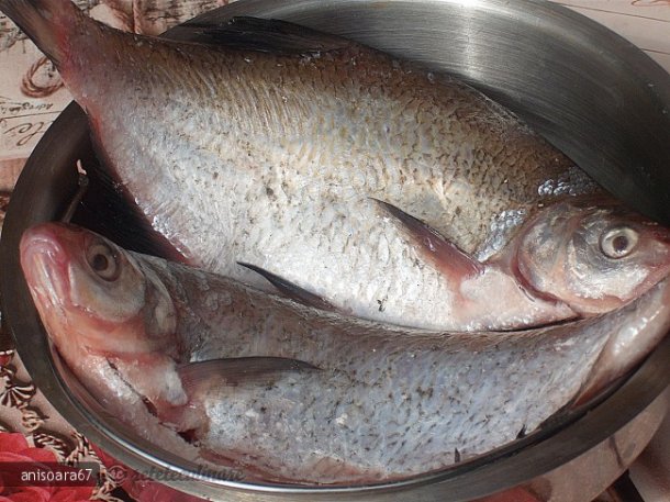 Saramura de Platica | Mancaruri cu peste | Reteteculinare.RO