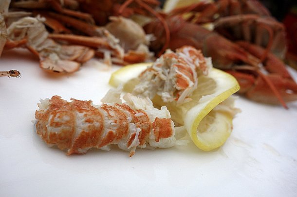 Raci de Dunare fierti | Mancaruri cu peste | Reteteculinare.RO